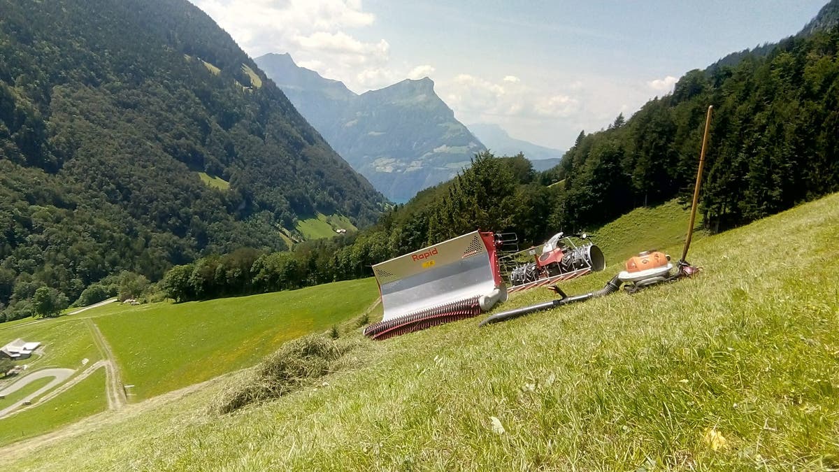 Urner Bauern verdienen weniger Urner Bauern verdienen weniger