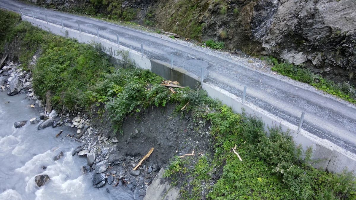 Mutter und Sohn von Baum getroffen – beide Tot Mutter und Sohn von Baum getroffen – beide Tot