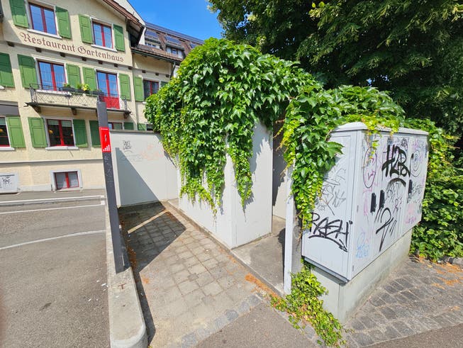 St.Galler Bär: Zurück an die Front +++ Verstecktes stilles Örtchen ... St.Galler Bär: Zurück an die Front +++ Verstecktes stilles Örtchen ...